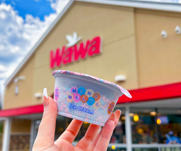 Wawa’s Got Your Back (and Your Cool Down): Why Mini Melts Are the Perf ...