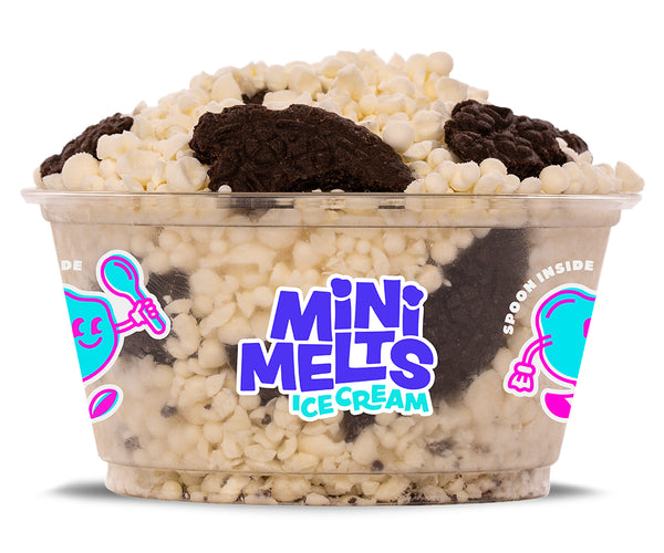 How to Start an Ice Cream Business – Mini Melts® Of America